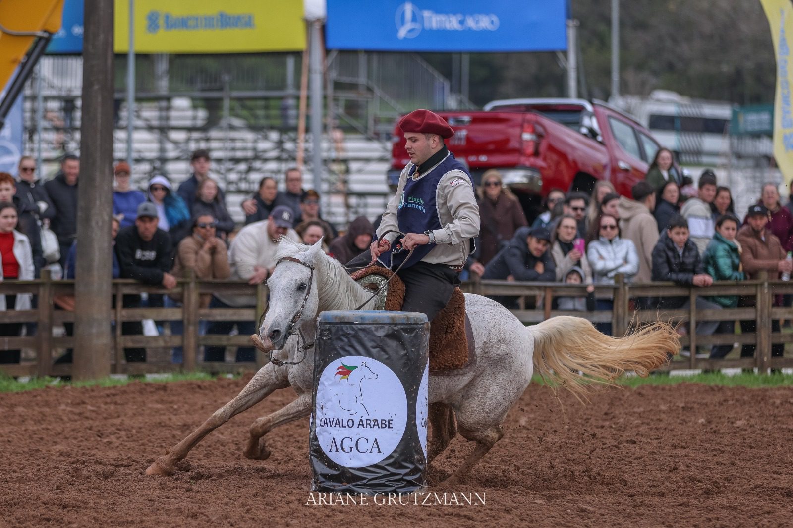Cavalo Árabe destaca-se na Expointer 2024 com recorde de público e negócios